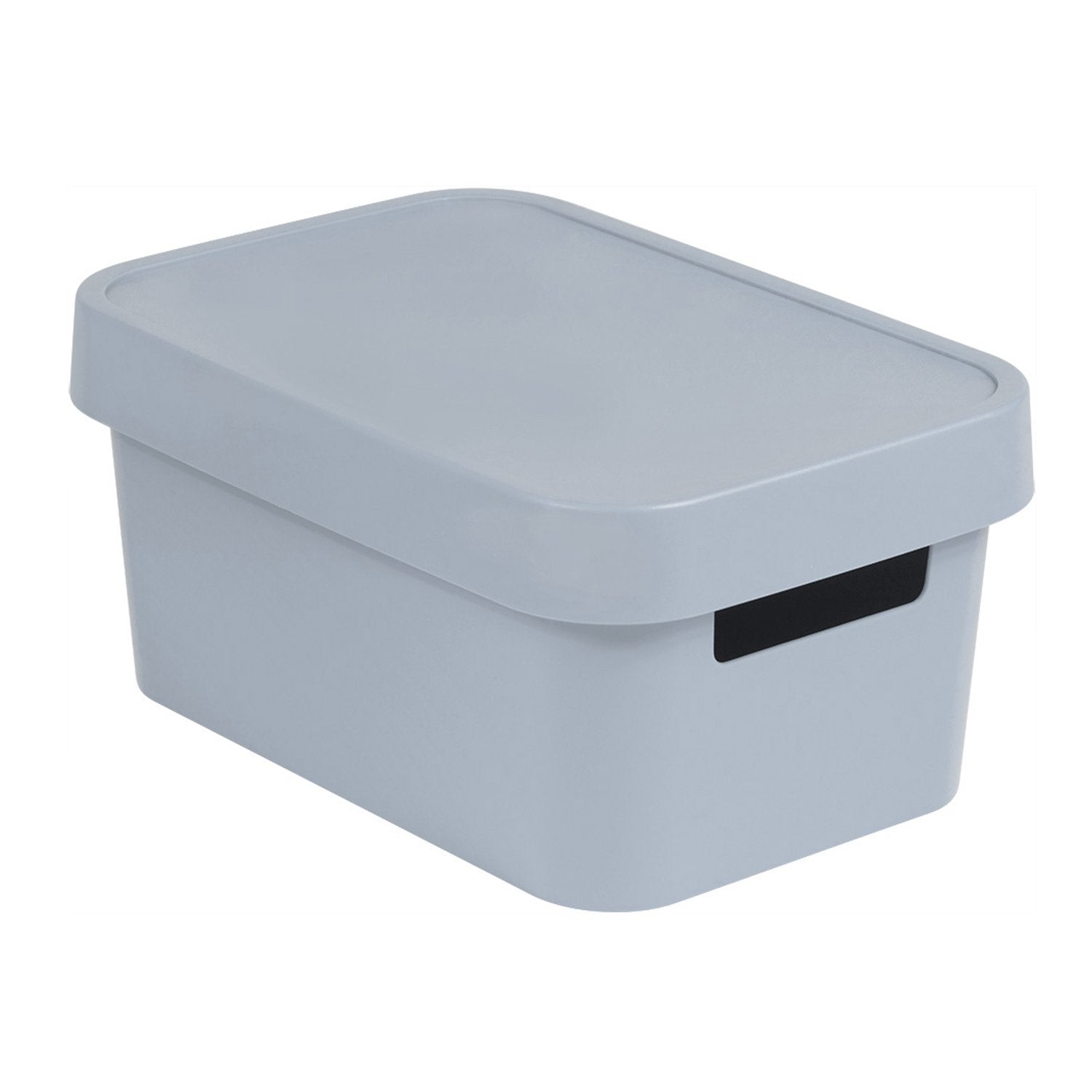 Plastic storage boxes with lid and handles Curver Infinity Scandinavia ...