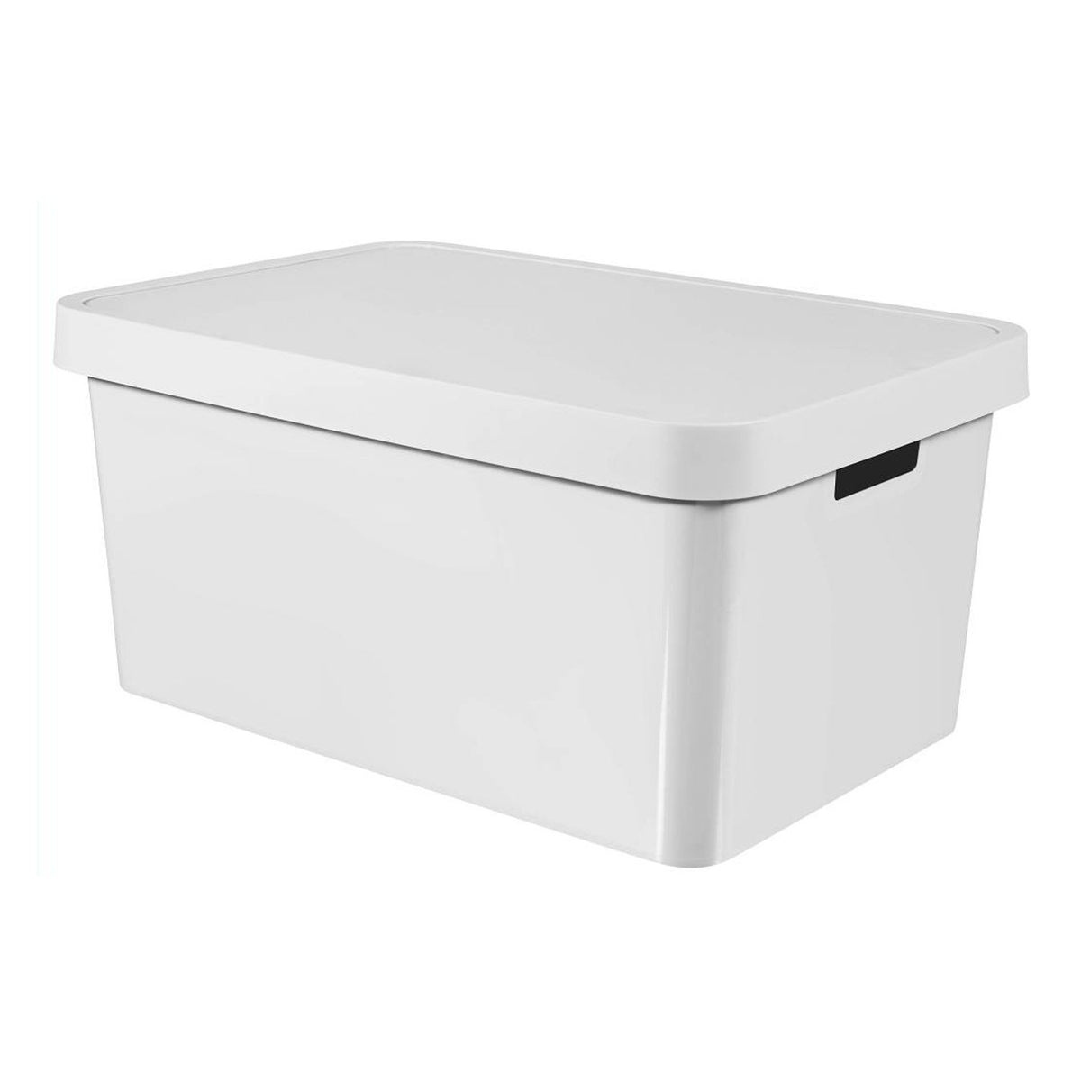 Large 45L Storage Boxes With Lid and Handles Curver Infinity Scandinav ...